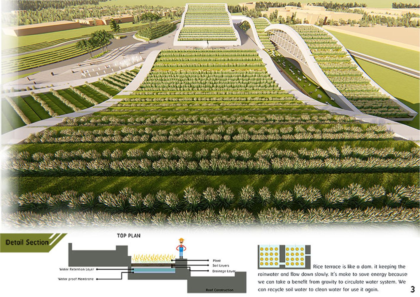 Rice Terraces | Landscape Design Project