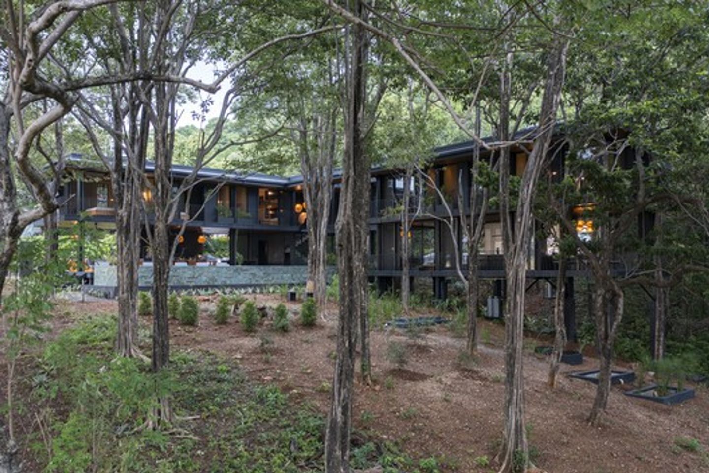 Mimetic Architecture: Blending Design with Nature at Casa Perla Negra ...