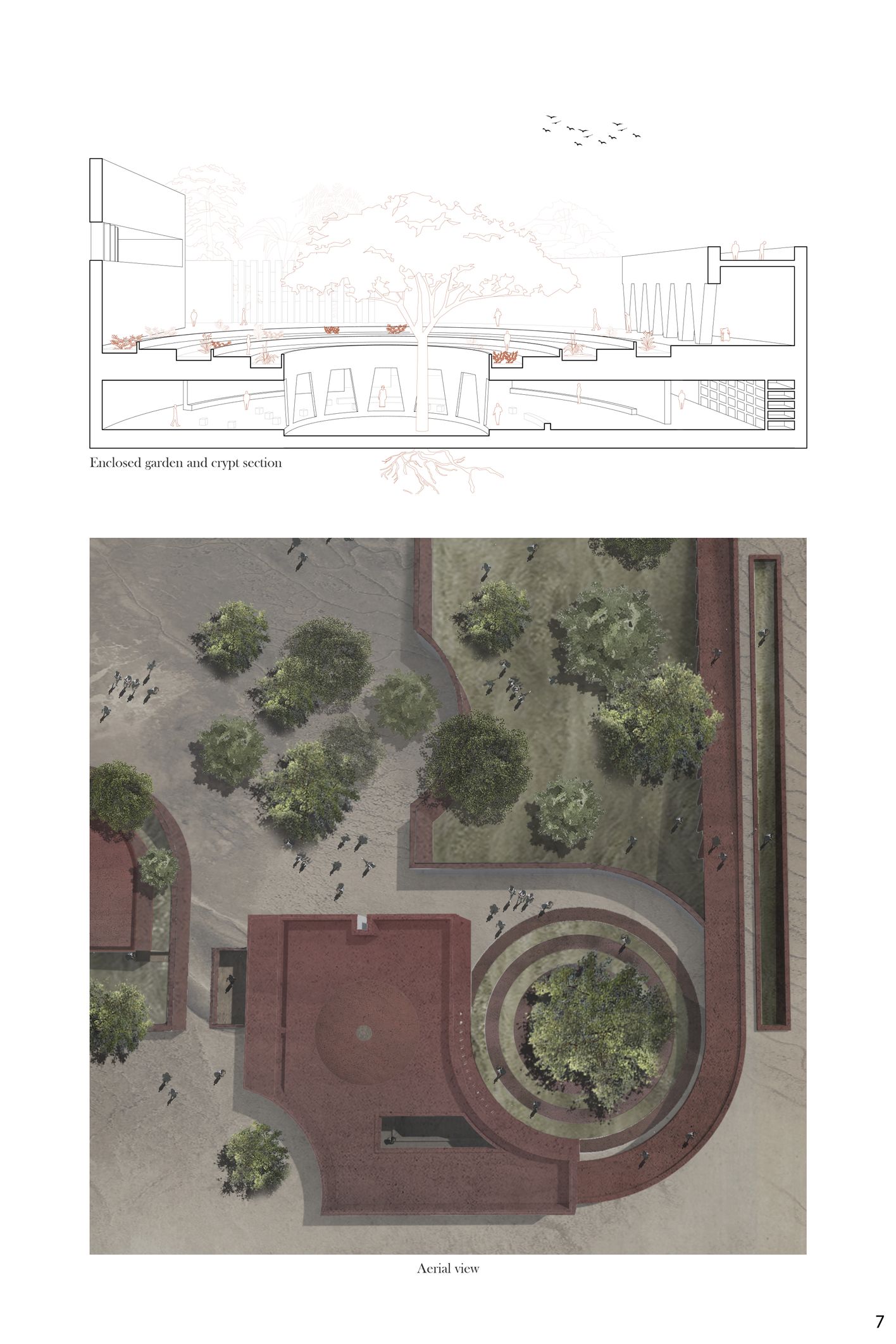 Beyond the tree | Landscape Design Project