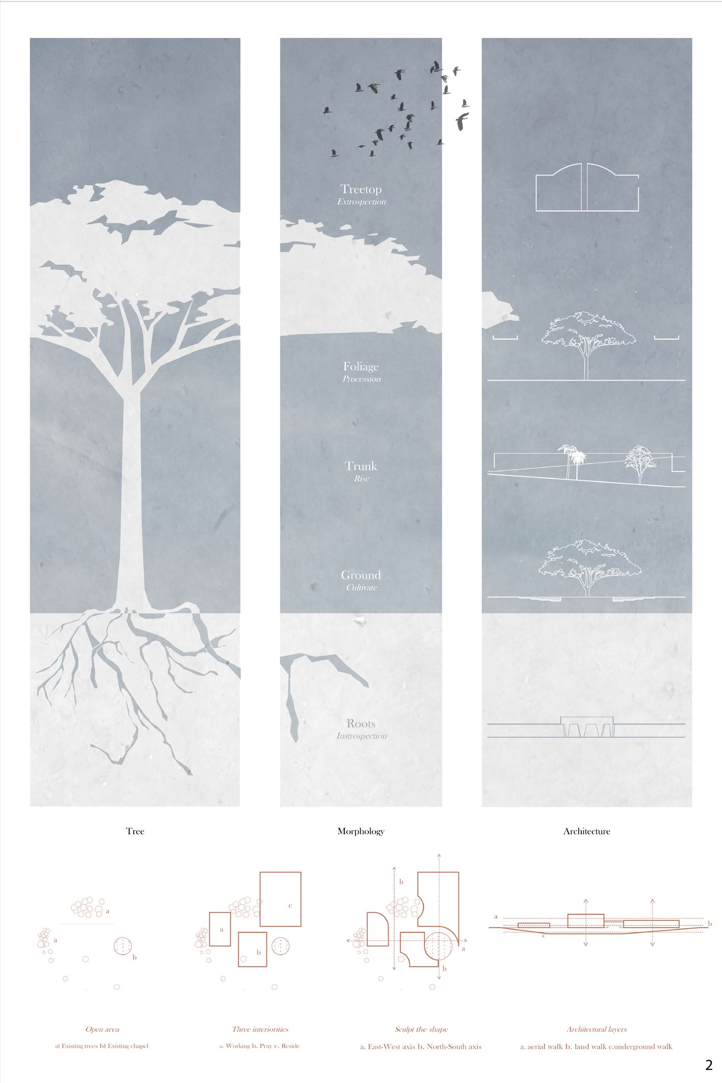 Beyond the tree | Landscape Design Project