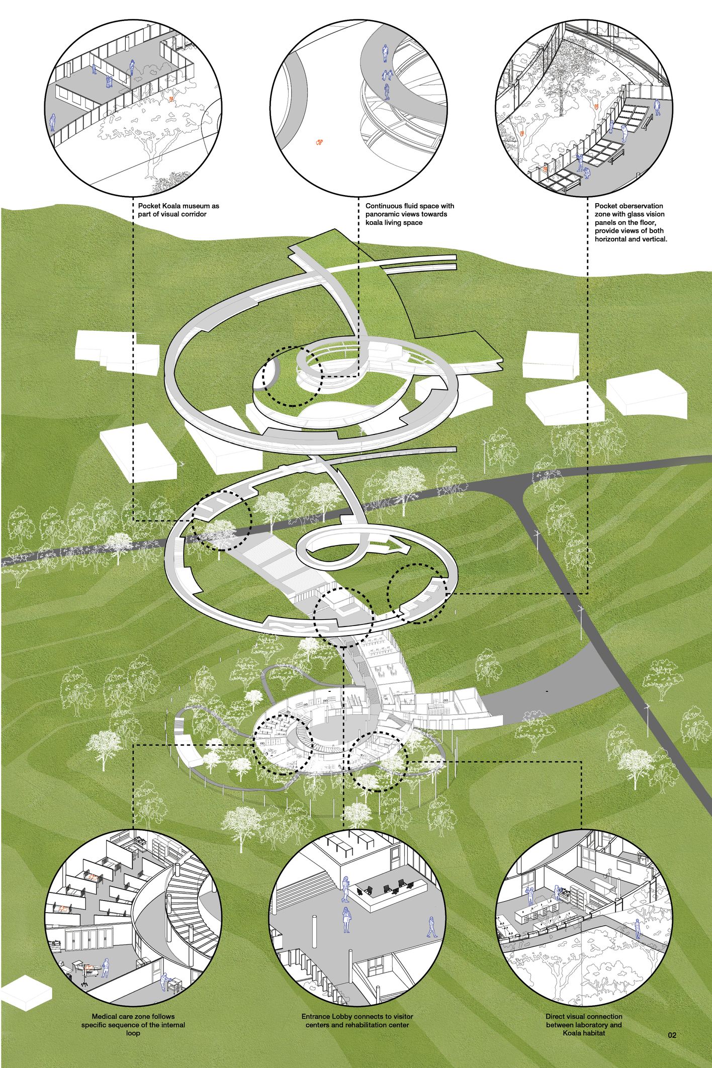 THE LOOPS | Illustration Project