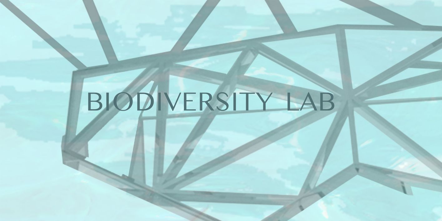 BIODIVERSITY LAB | Drawing Project