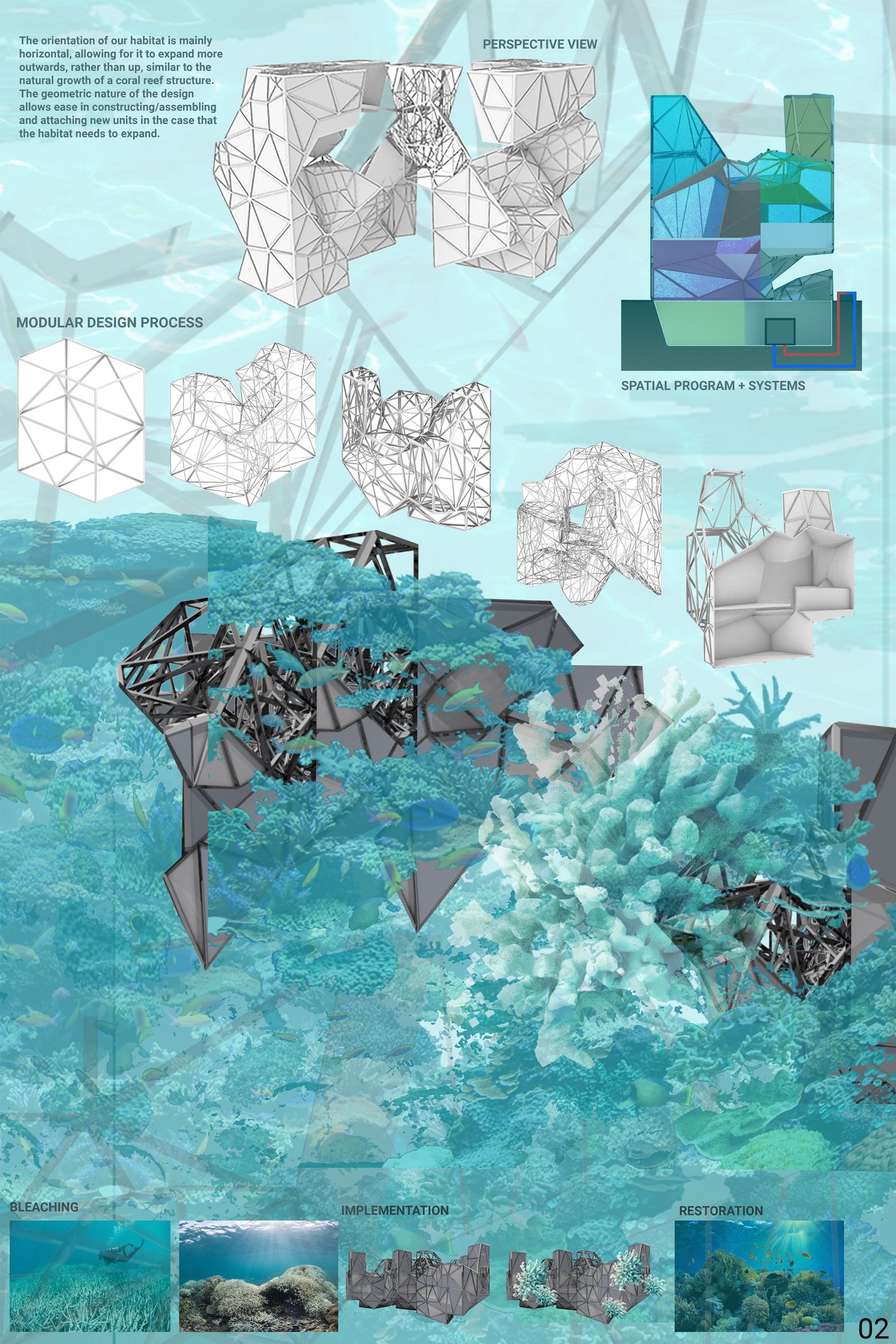 BIODIVERSITY LAB | Drawing Project