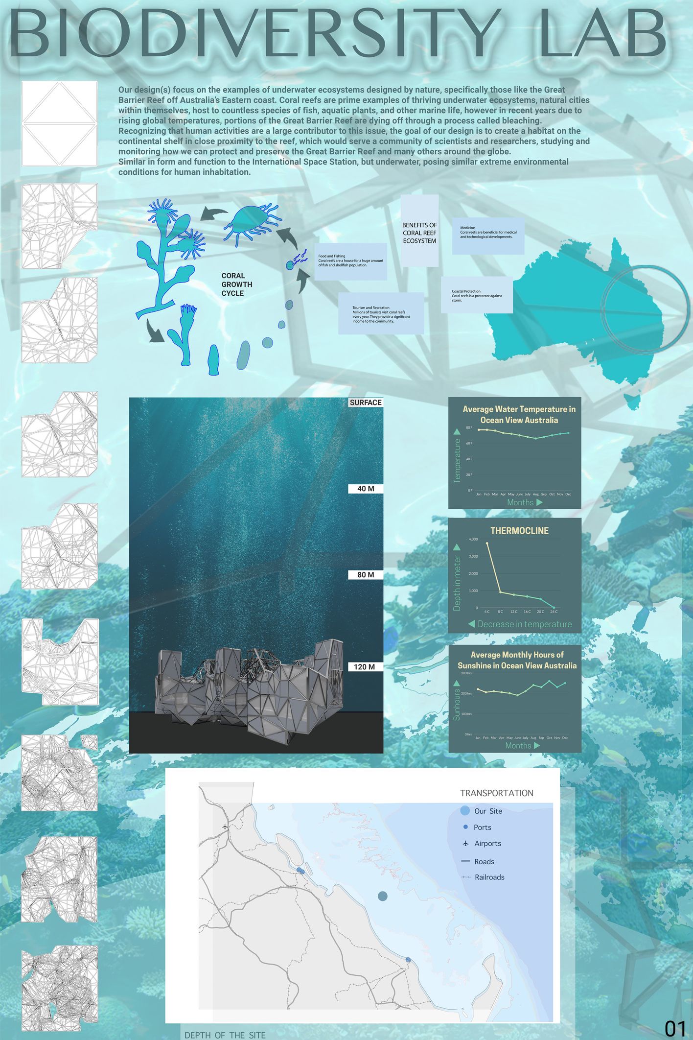 BIODIVERSITY LAB | Drawing Project