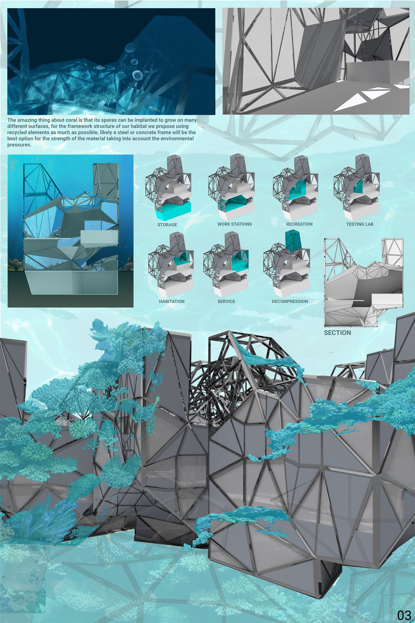 BIODIVERSITY LAB | Drawing Project
