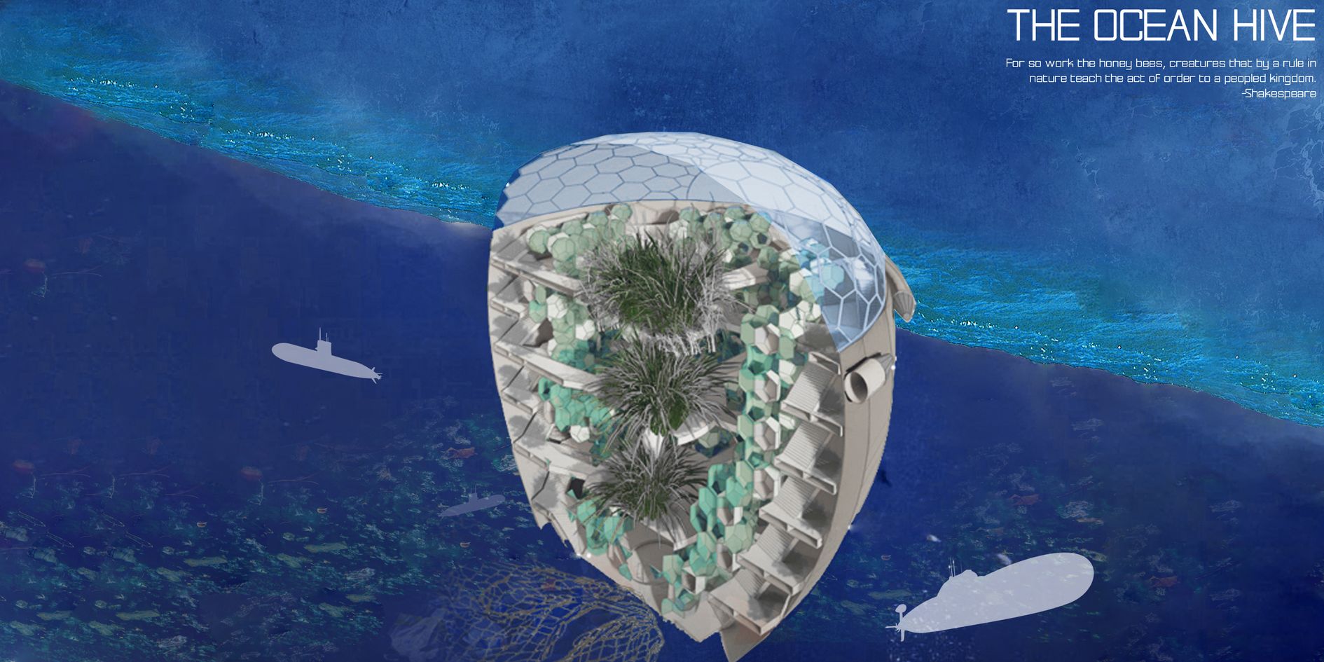 The Ocean Hive | Graphic Design Project