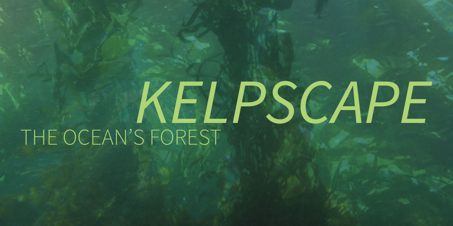 Kelpscape | Concept Architecture Project