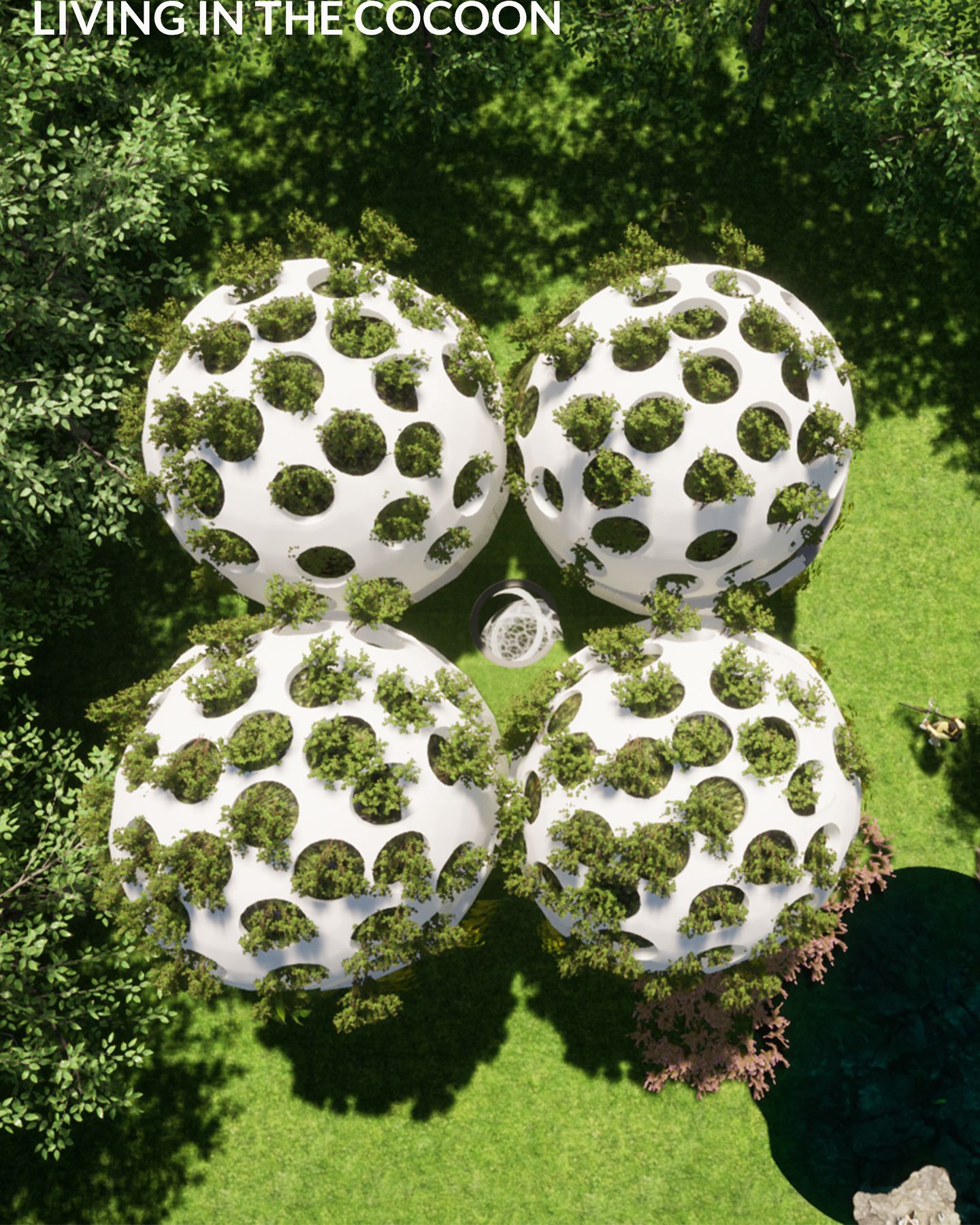 Living in the Cocoon | Architecture Project