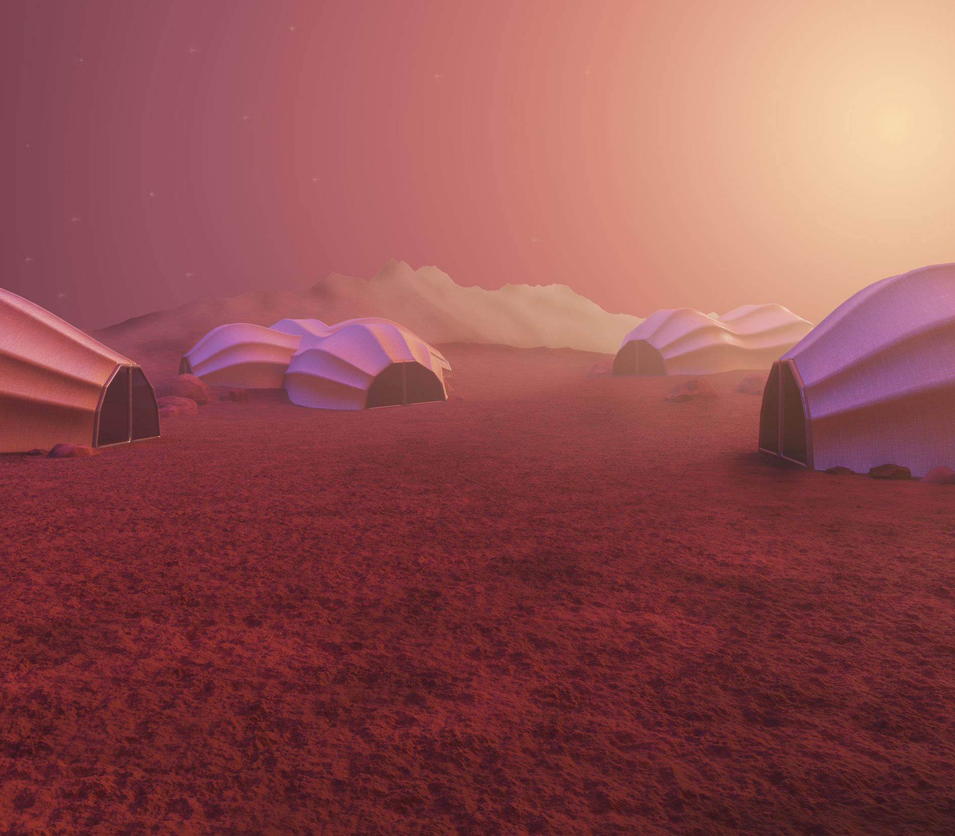 Survival Dream | Concept Project