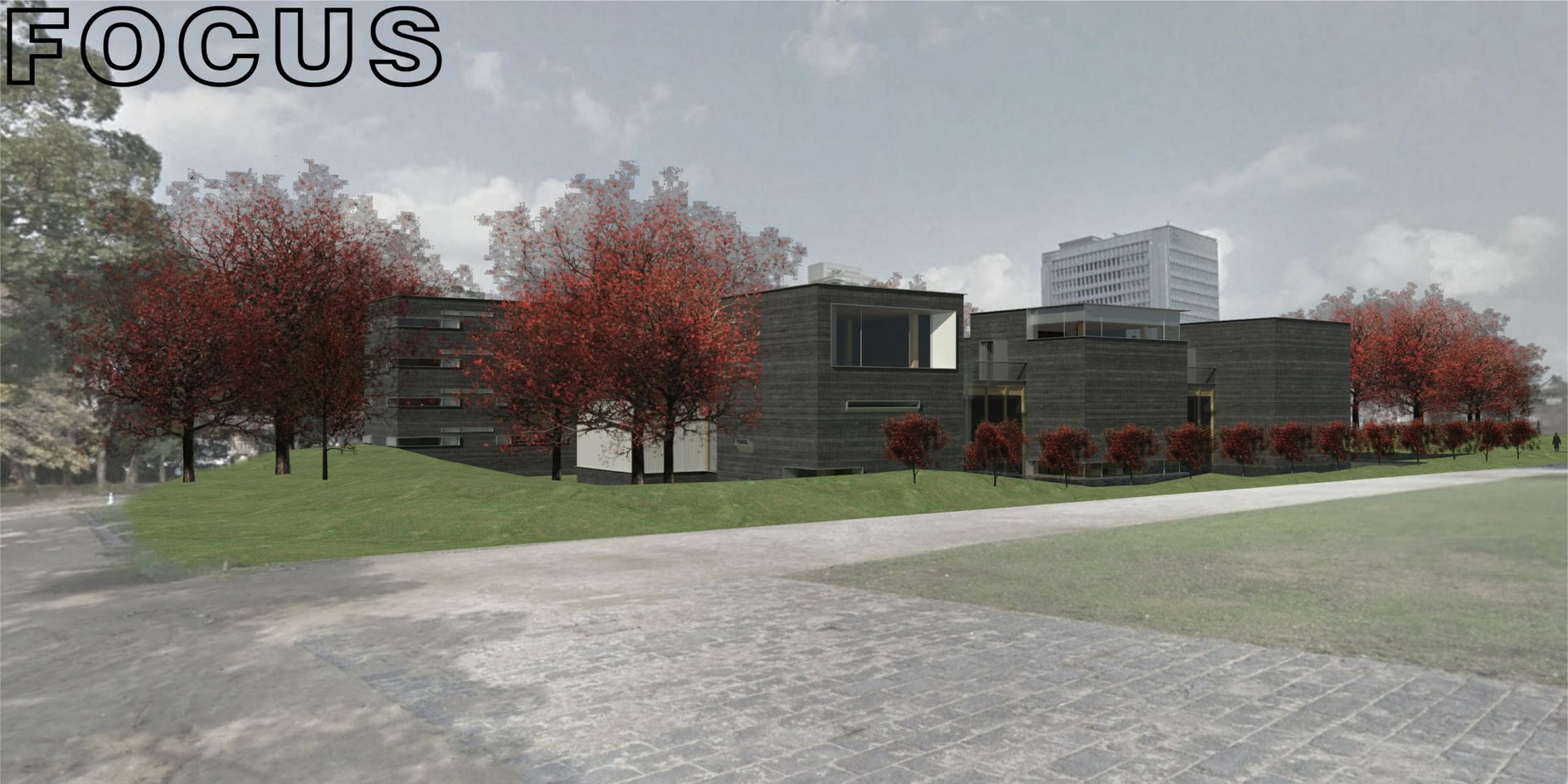 Focus | Cultural Architecture Project