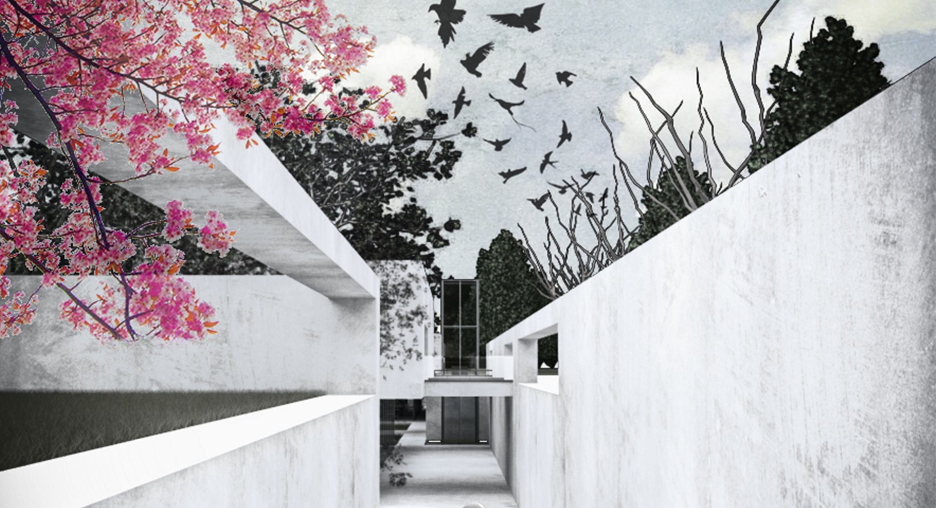 IN BETWEEN WALLS | Architecture Project