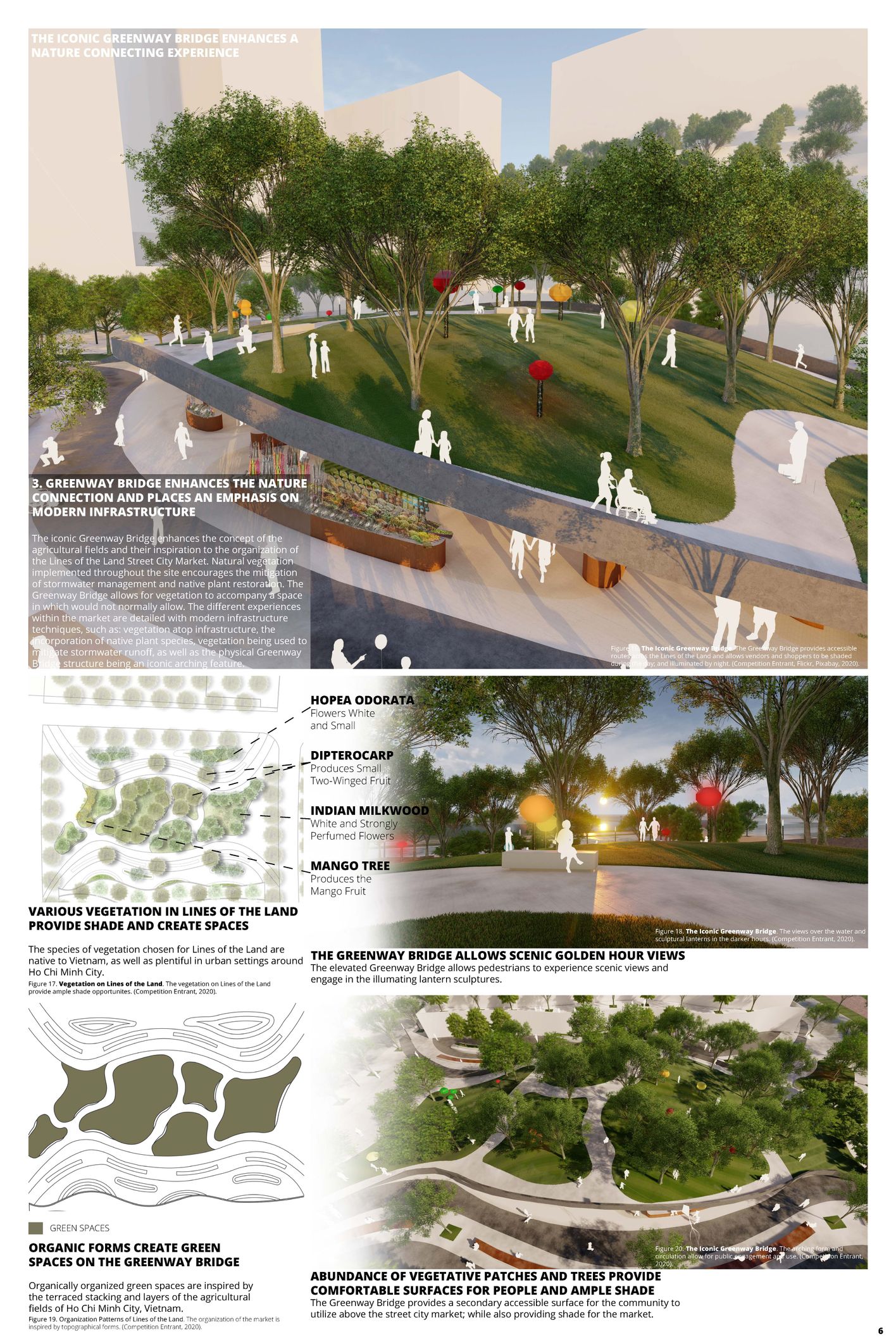 Lines of The Land | Landscape Design Project