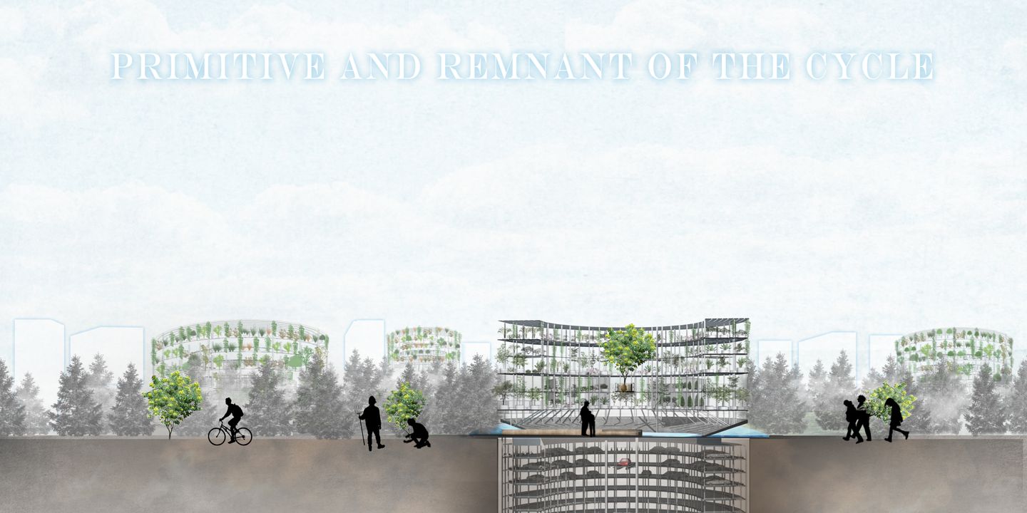 Primitive and Remnant of the Cycle | Landscape Design Project