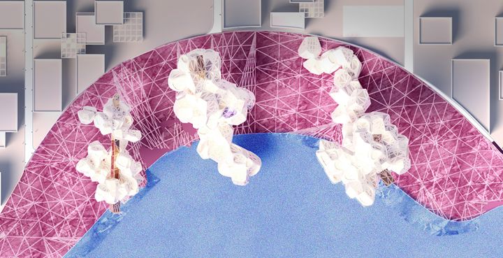 Visualization '22 Visual Design Competition | Worldwide | Results