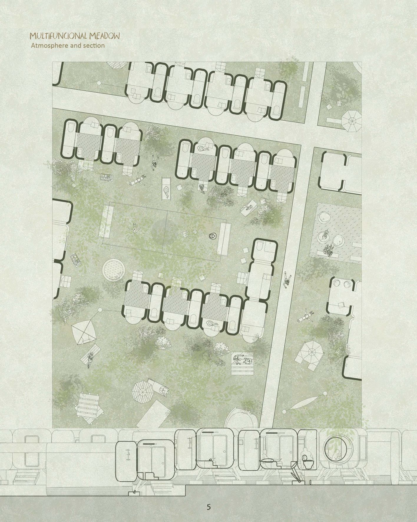 Swamp capsule camp | Landscape Design Project