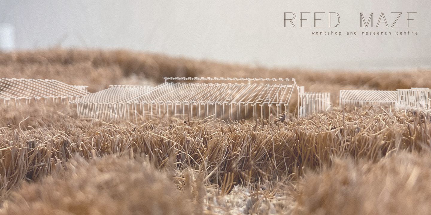 REED MAZE workshop and research centre | Conceptual Architecture Project