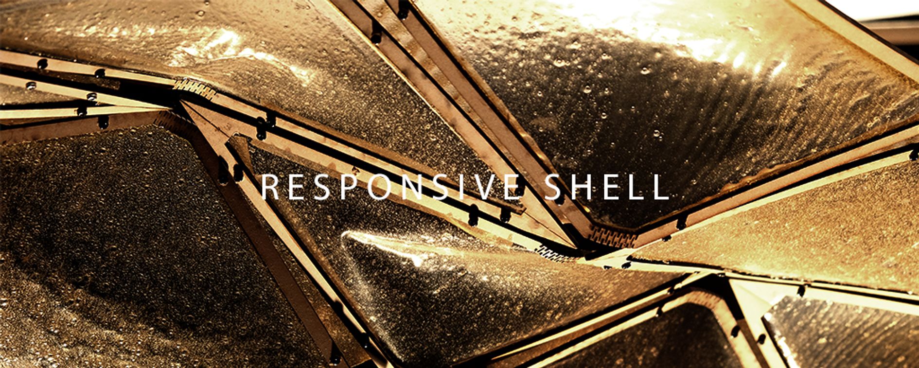 RESPONSIVE SHELL | Interior Design Project