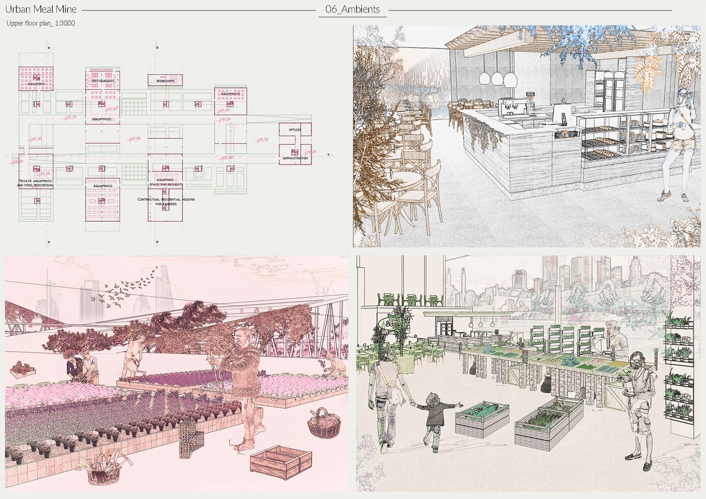 City Fields_Wrapped Up | Education Project